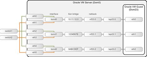 looking under the hood at networking in oracle vm server for x86