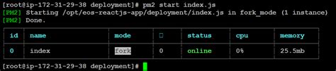 how to build and deploy reactjs application on node js runtime