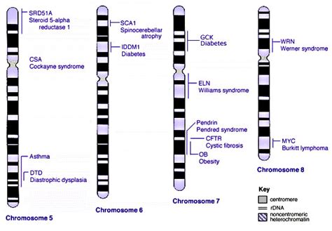 abnormal development genetic embryology