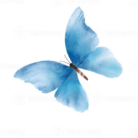 Arriba Más De 66 Mariposa Azul Dibujo Vn