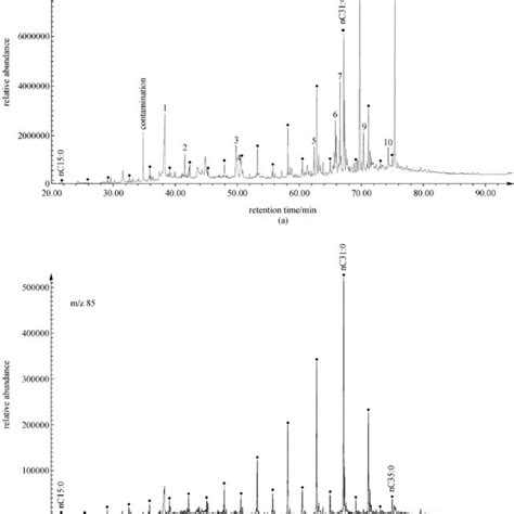 Gc Ms Total Ion Current Tic And M Z 85 Ion Chromatogram Showing