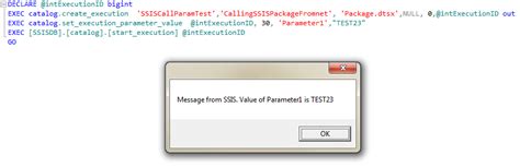 c how can i call ssis programmatically from