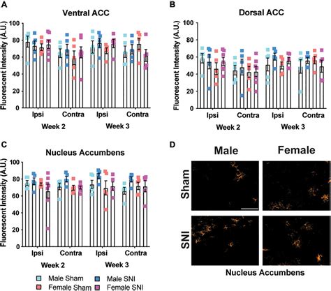 frontiers characterizing sex differences in depressive like behavior