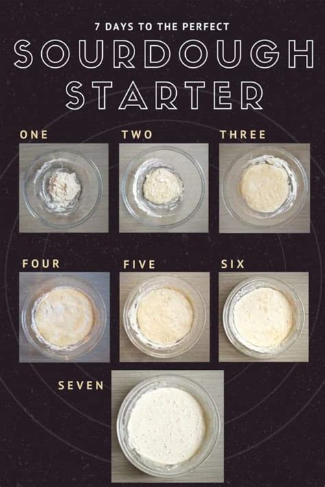 How To Make A Sourdough Starter Smart Nutrition With Jessica Penner Rd