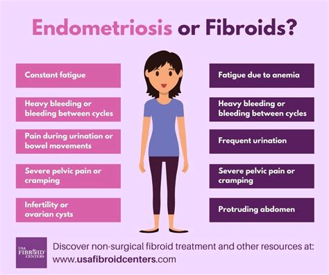 The Difference Between Fibroids And Endometriosis