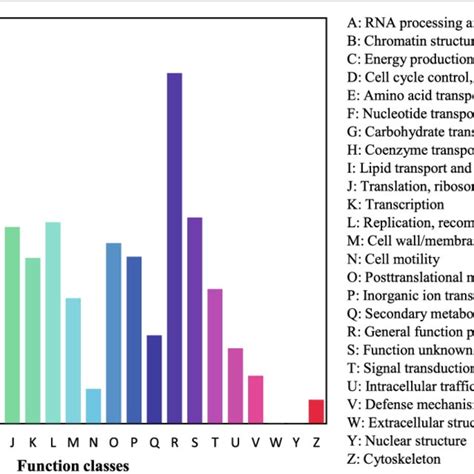 Distribution Of Unigenes With Cog Functional Classification In The P