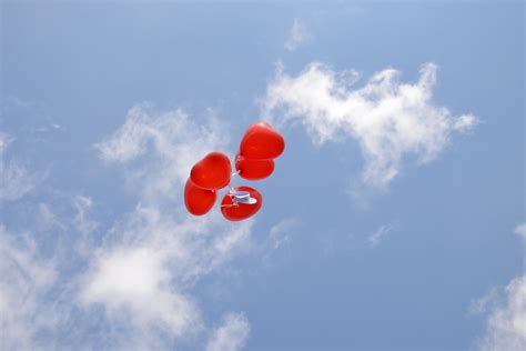 Birthday Day Float Balloons Freedom Sky Blue Sky Romance Red