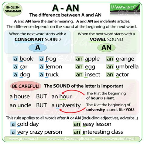articles a an the definition and grammar usage