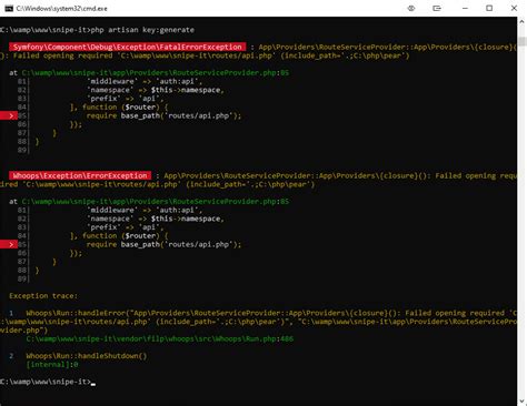 php artisan key generate fatal error exception · issue 10090 · snipe