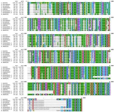 Multiple Amino Acid Sequence Alignment Of Nik1 In Arabidopsis Thaliana