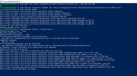 configure sql server on ubuntu 16 04 to use active directory