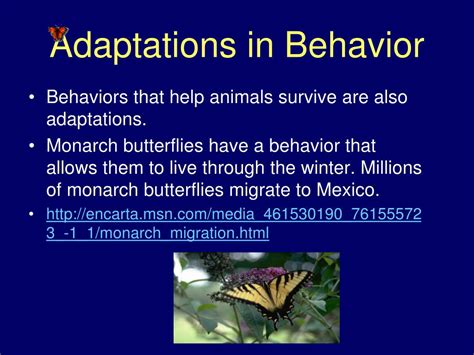 Ppt Adaptations In Organisms Powerpoint Presentation