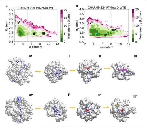 Figure 2 From Modeling The Structure And Interactions Of Intrinsically