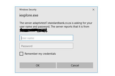 [code example] ie windows security dialog appears to block selenium