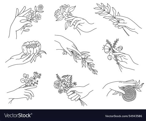 Hands Holding Flowers Outline Female Hand Vector Image