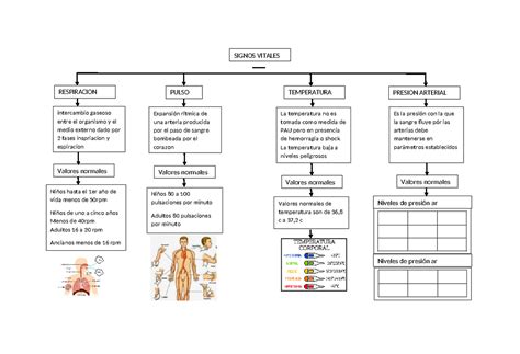 Signos Vitales Mapa Conceptual Signos Vitales Respiracion Pulso
