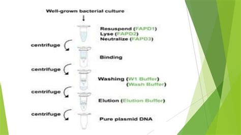 Nucleic Acid Purification