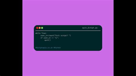 python terminate a script with user input youtube