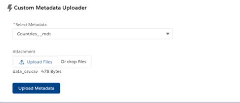 how to import custom metadata records in salesforce pantherschools