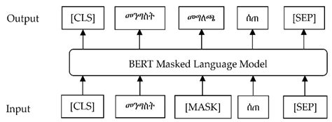 information free full text learned text representation for amharic