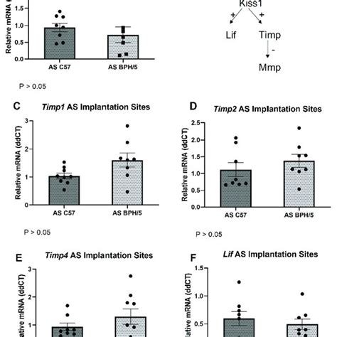 artificial synchronization of sex steroid hormones as ssh during