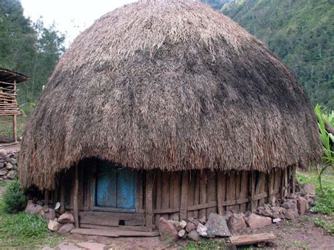 Penjelasan Lengkap Rumah Adat Honai Asal Daerah Papua