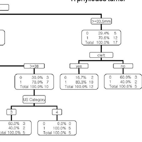 decision tree analysis according to gini index entropy index
