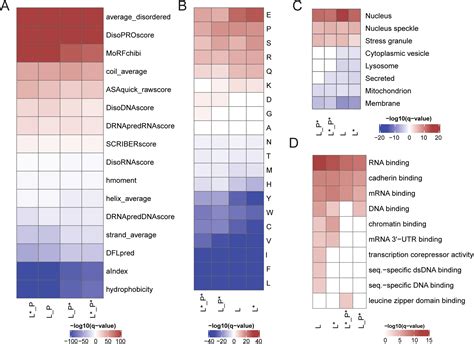 Systematic Identification Of 20s Proteasome Substrates Molecular