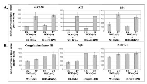 Relative Mrna Expression Levels Of Examples Of Stimulus Dependent And