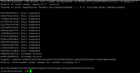 install and run wordpress using dockers on centos 7 unixmen