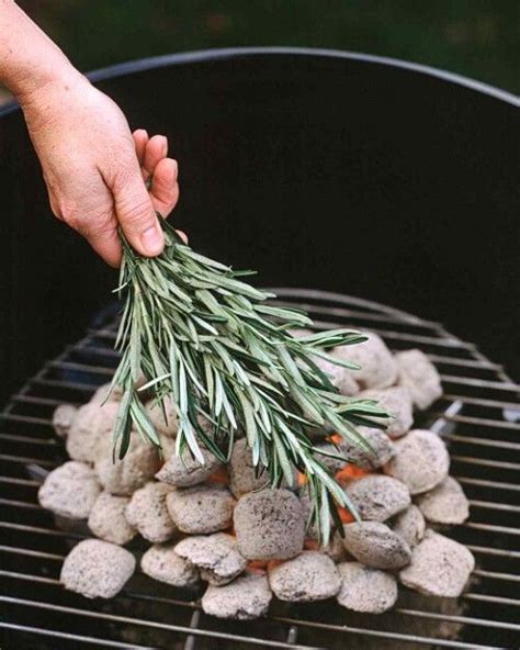 55 Essential Camping Hacks And Tricks That Will Make You A Camping Pro