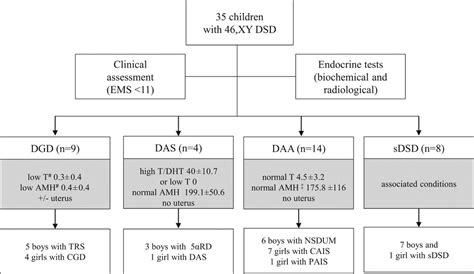 Integrating Clinical And Genetic Approaches In The Diagnosis Of 46 Xy