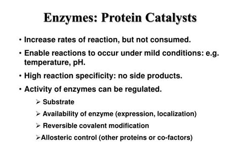 Ppt Enzymes Protein Catalysts Powerpoint Presentation Free Download