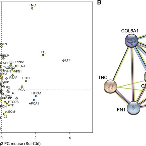 Z Score Hierarchical Clustering Heat Map Visualization A Gene Names