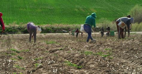Down On The Farm A Shortage Of Agricultural Labor Cbs News