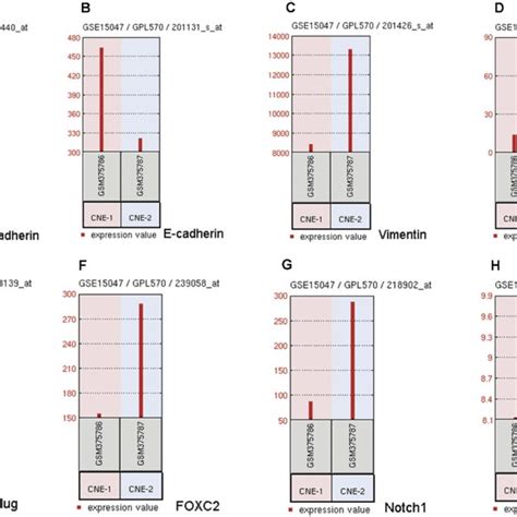 The Differential Mrna Expression Levels Of Emt Markers Between Cne 1