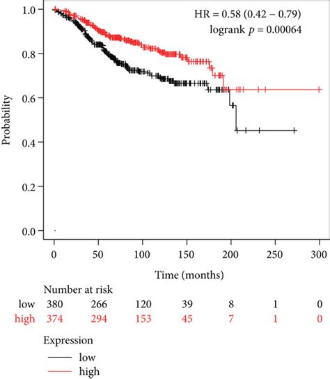 Pparg Expression And The Prognosis Of Bc The Km Survival Curve Of The