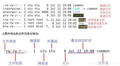 linux 基础命令大全 duc 命令 csdn博客