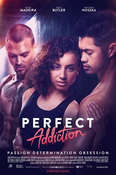 Perfect Addiction 2023 Posters — The Movie Database Tmdb