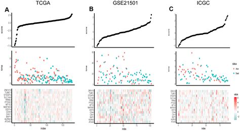 The Construction And Analysis Of A Ferroptosis Related Gene Prognostic