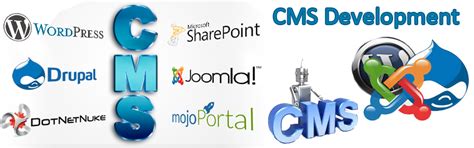 a cms based website is easy to maintain and manage no