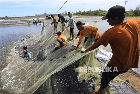 Kkp Buka Gerai Konsultasi Perizinan Usaha Budi Daya Republika Online