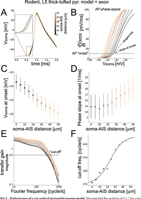 Figure 3 From The Location Of The Axon Initial Segment Affects The