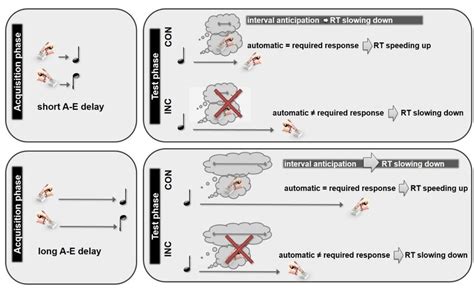 illustration of the opponent processes model of temporal consistency