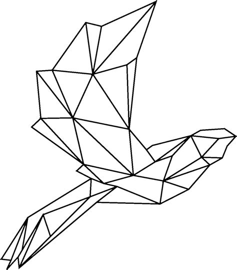 northern hawk technologies