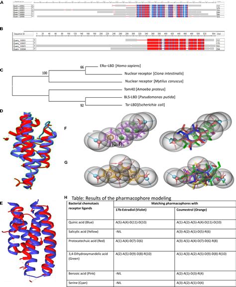 Frontiers Ligand Binding Domain Of Estrogen Receptor Alpha Preserve A
