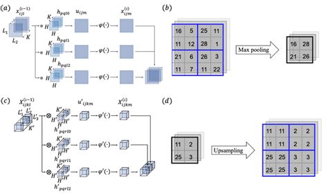 Internal Procedure Of Convolutional Neural Network A Two Dimensional