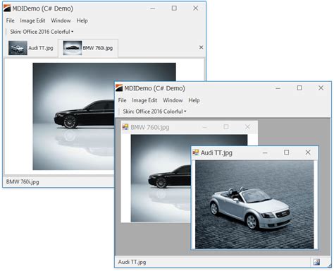 accordion control winforms controls devexpress help