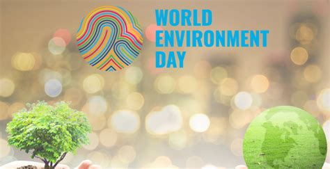 World Environment Day Lucy Group