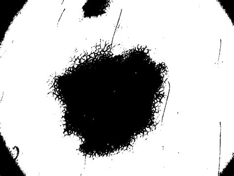 python how to discard the edges of an image using opencv